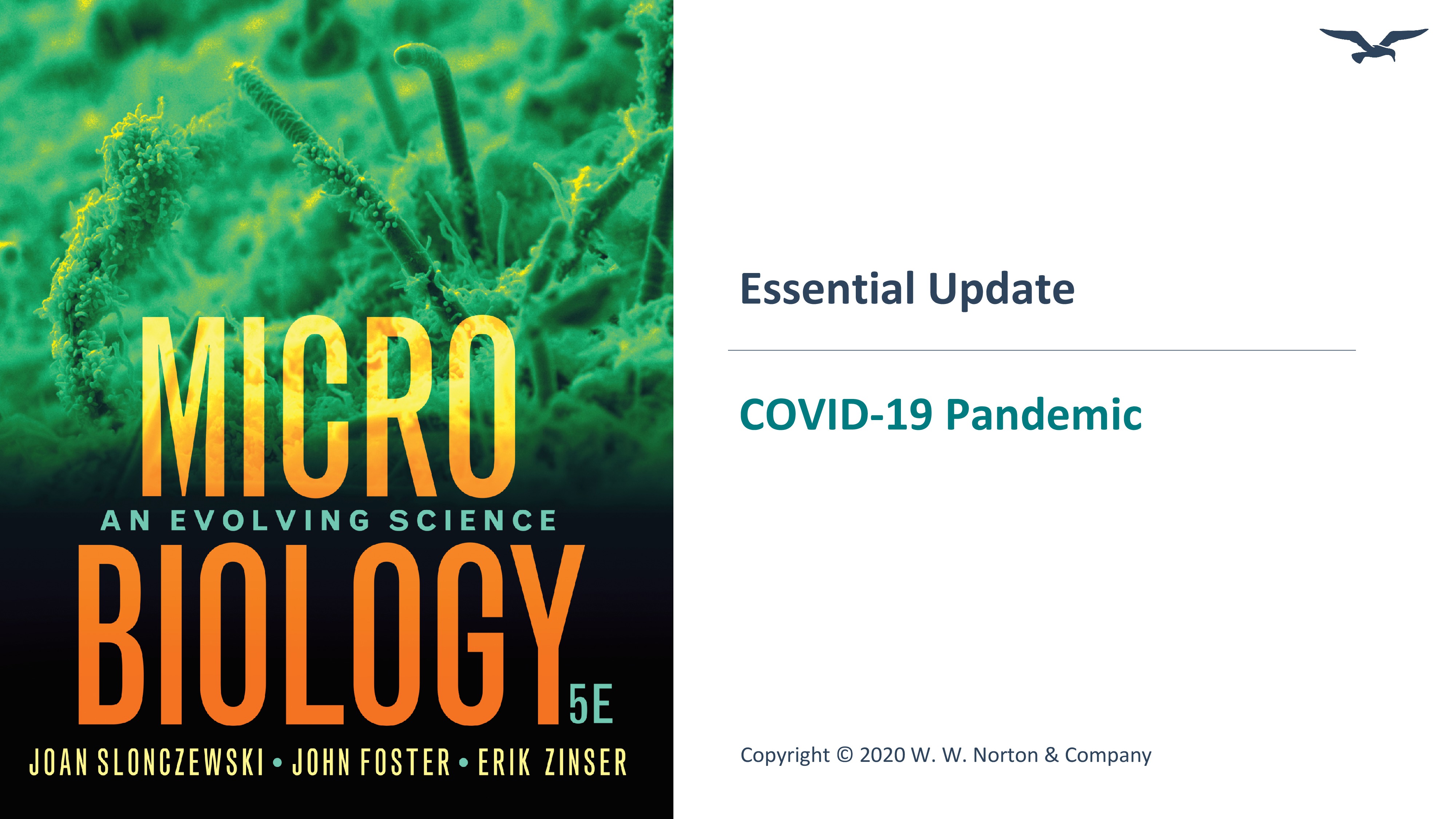 Reflections on the COVID-19 Resources Project – Norton Learning Blog
